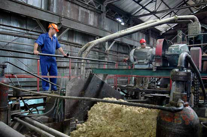 Reconocen destacada labor de cincuentenarios azucareros • Trabajadores Reconocen destacada labor de cincuentenarios azucareros • Trabajadores