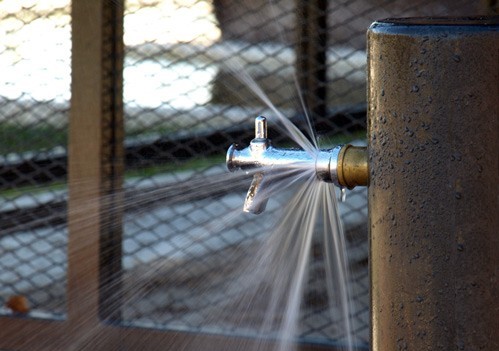 Derroche y sequía en Caimito • Trabajadores