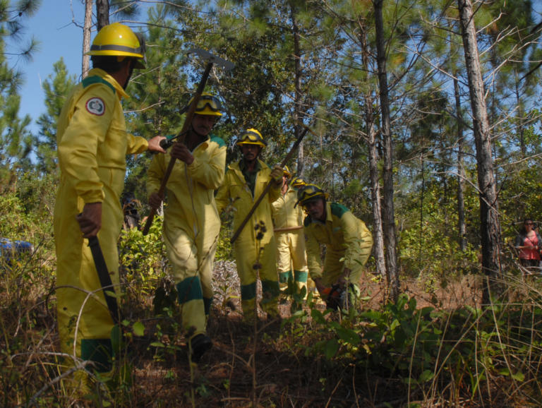 Guardabosques en el Valle de Viñales • Trabajadores