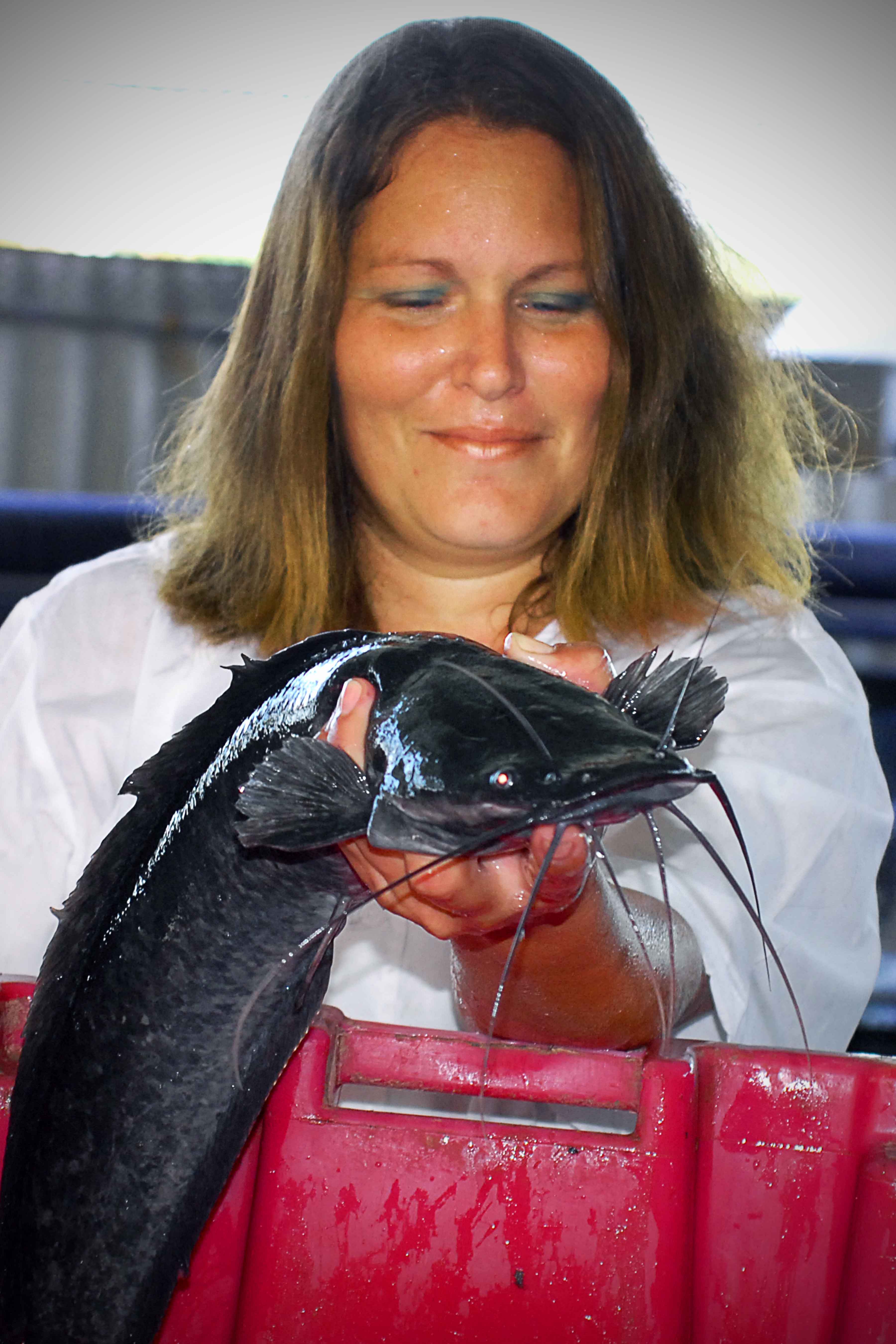 Proyecto europeo permite maximizar cosecha claria en Cuba • Trabajadores