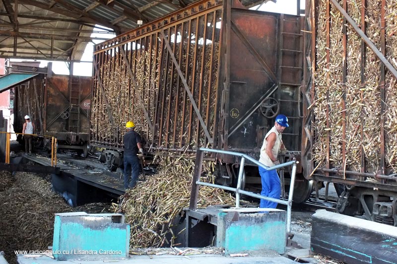 Homenaje a la vanguardia de los azucareros • Trabajadores