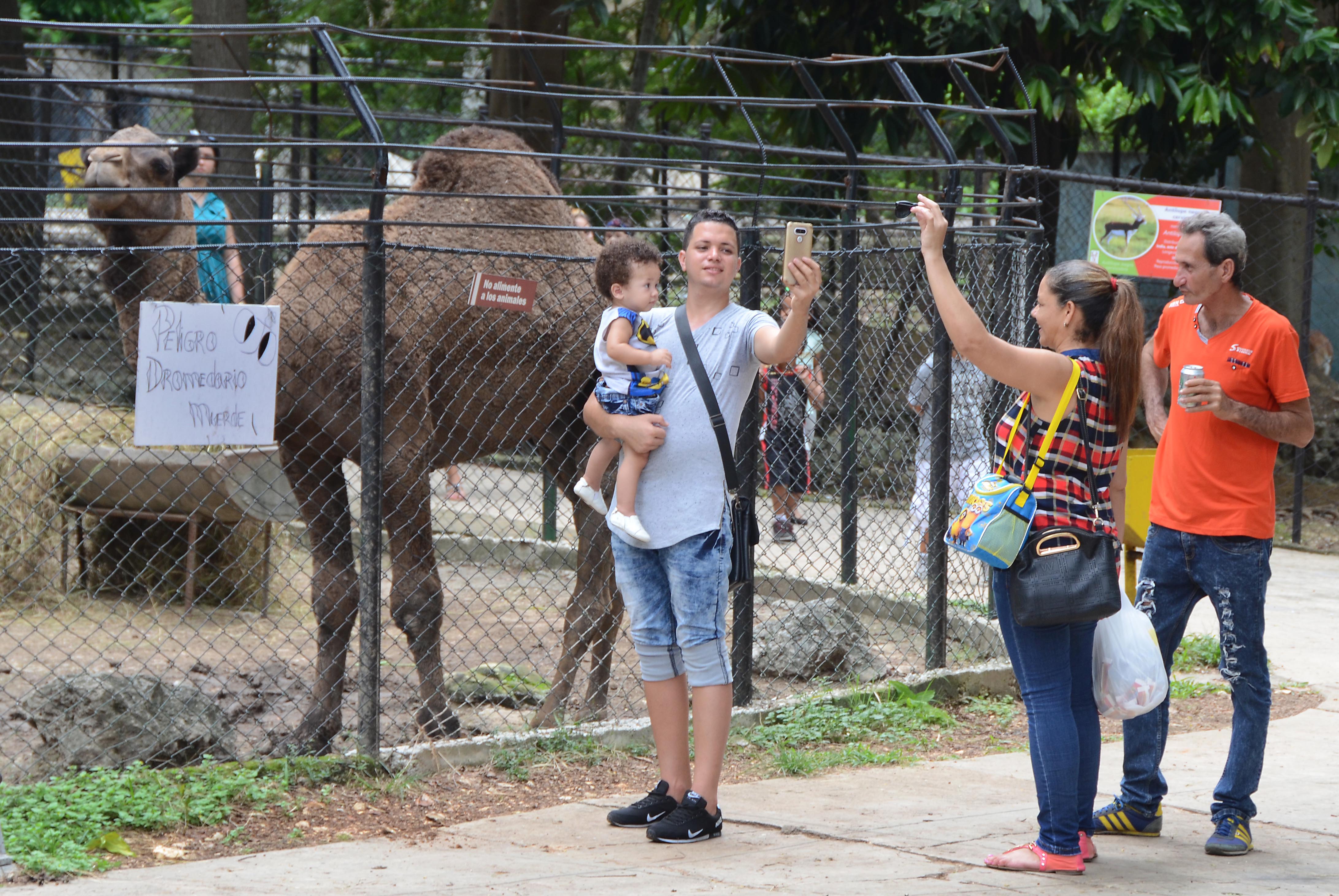 La noche que Irma visitó el zoológico • Trabajadores