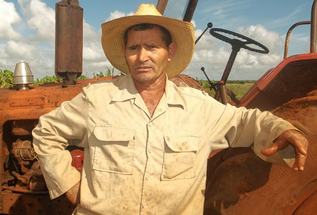 Frijoles amargos: En apuros un alimento que sustituye importaciones ...