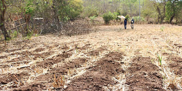 Aprueban proyecto millonario para Corredor Seco de El Salvador ...