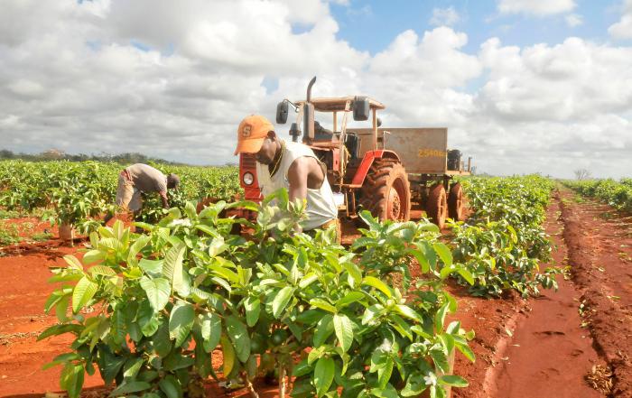 Agricultural development must continue under all circumstances ...