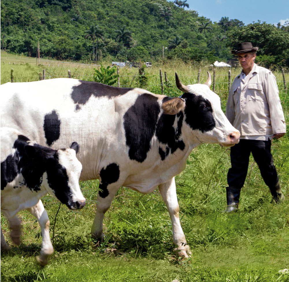 Gavac: el prestigio de una vacuna • Trabajadores