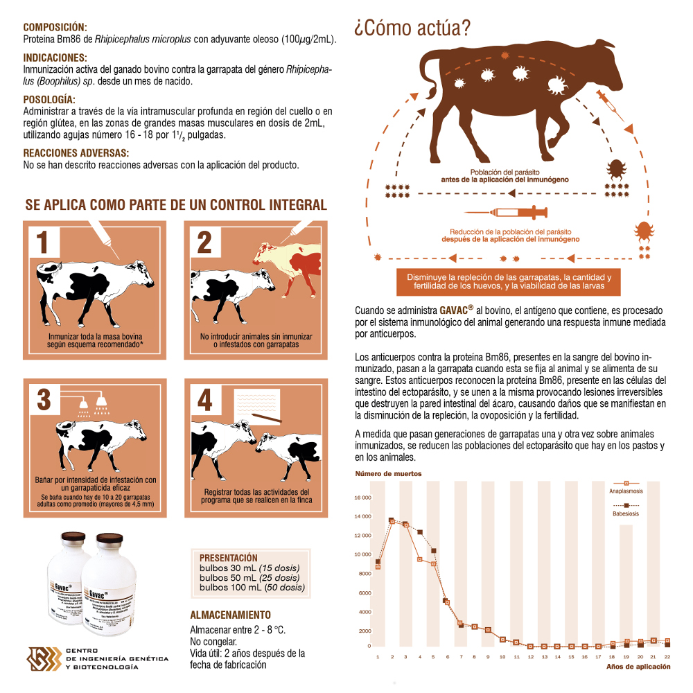Gavac: el prestigio de una vacuna • Trabajadores