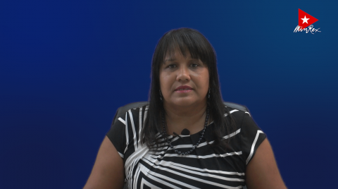Declaración de la viceministra Anayansi Rodríguez (+ Video) • Trabajadores