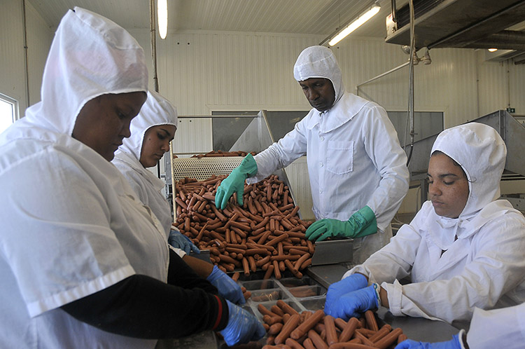 Prodal no va a parar (+ Fotos) • Trabajadores