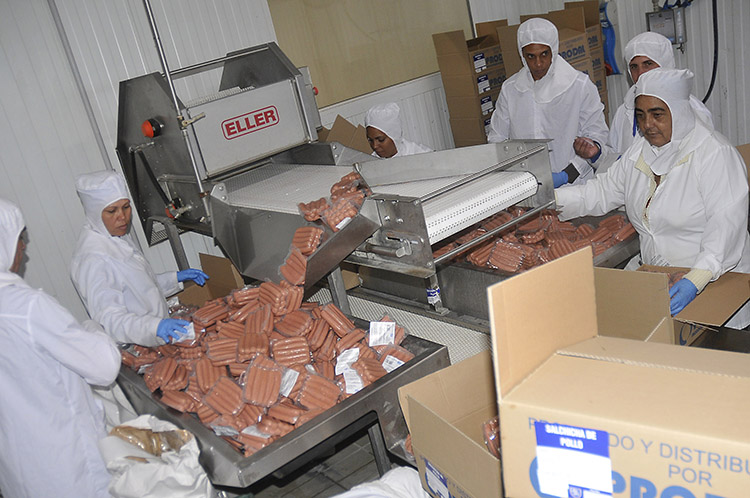 Prodal no va a parar (+ Fotos) • Trabajadores