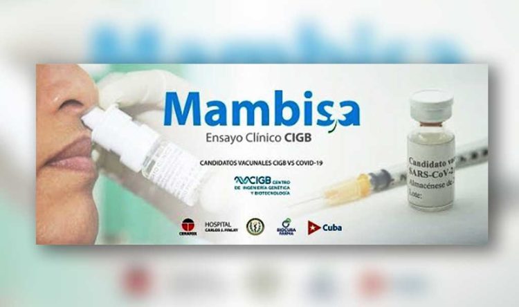Mambisa avanza a fase II • Trabajadores