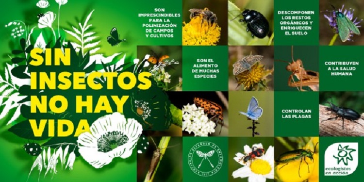 Acciones humanas originan amenaza global sobre los insectos | Trabajadores