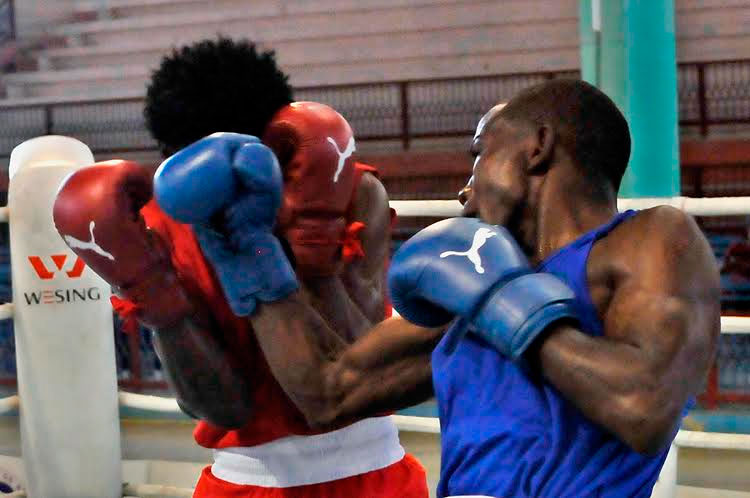 Final de la VII Serie Nacional de Boxeo: Cienfuegos “quemó” a La Habana ...