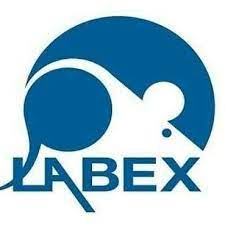 Celebran en Santiago de Cuba 30 años de aportes biotecnológicos de ...