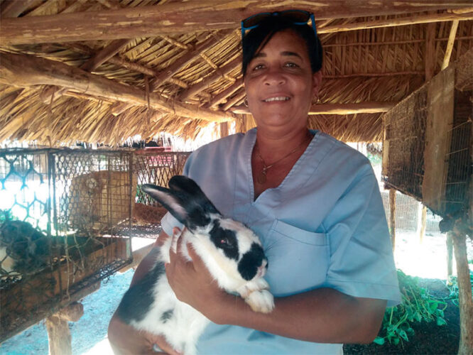 ¿Todo bien en la UBPC Agustín Balmaceda? • Trabajadores