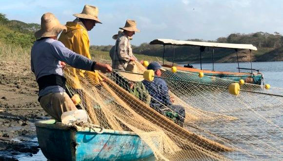 Día del Trabajador de la Pesca: Detener la merma de las especies y ...