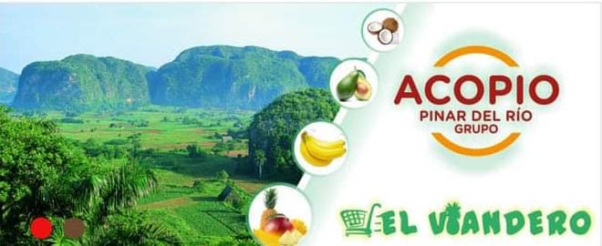 Compras desde el hogar • Trabajadores